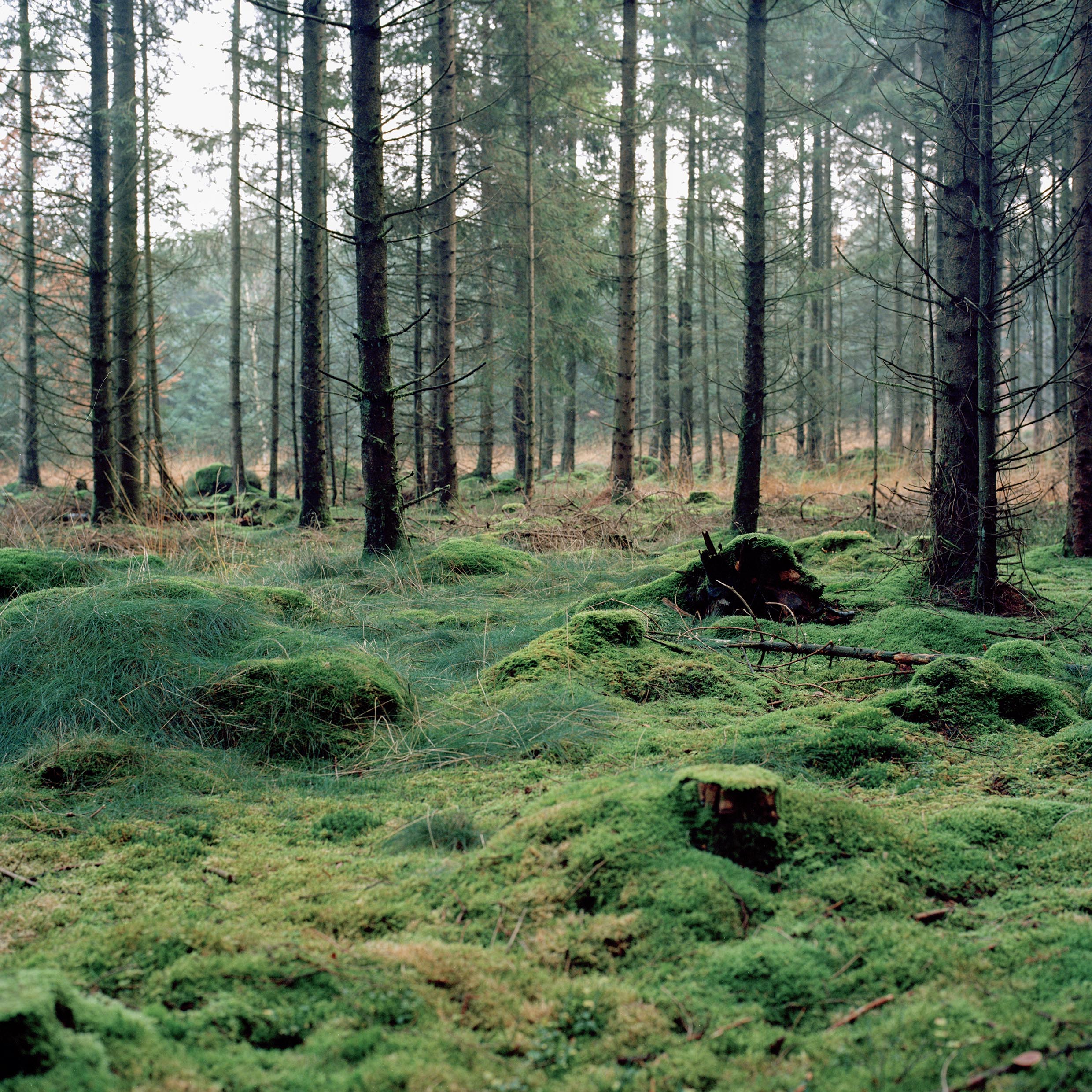 Afslutning vinter 2023 - KBH FILM & FOTO SKOLE